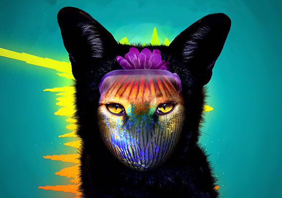 Galantis | Genero